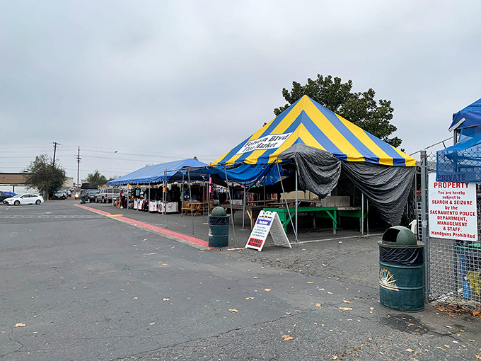 Yellow and blue striped tents create a festive bazaar atmosphere, where each aisle promises new discoveries and the thrill of the unexpected find.