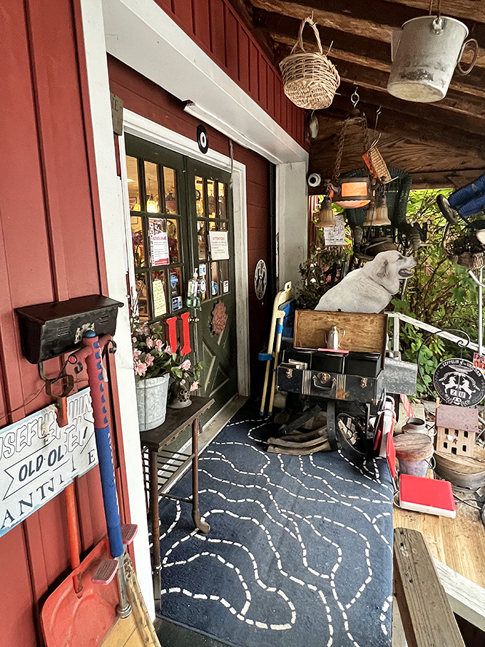 That blue patterned rug isn't just decor&mdash;it's a portal to wonderland. Even the porch is curated with vintage finds and whimsical touches.