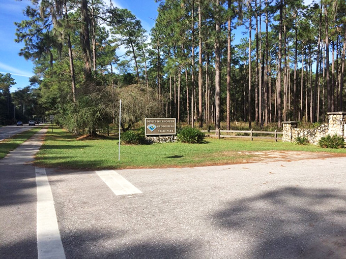 Nature's welcome mat – this unassuming entrance gives zero hints about the geological drama waiting just beyond those pine sentinels.