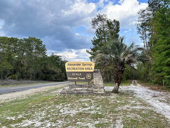 The gateway to paradise doesn't need neon lights. This unassuming sign marks the entrance to one of Florida's most spectacular natural wonders.