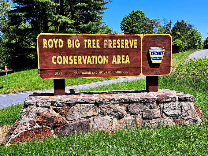 The entrance sign promises exactly what it delivers &ndash; big trees and conservation. No false advertising here, folks!