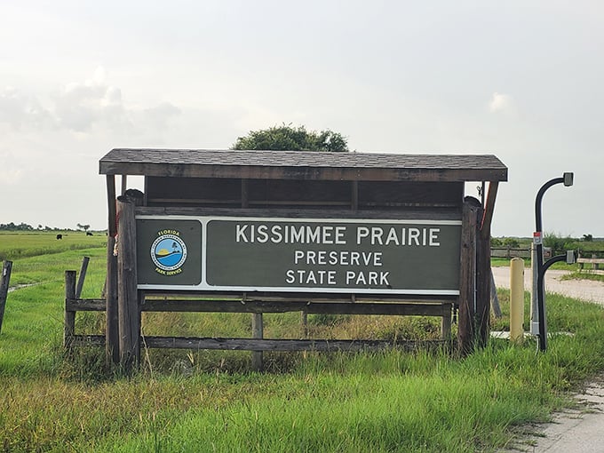 Nature's welcome mat: a wooden sign that might as well say "Civilization ends here. Your adventure begins now."