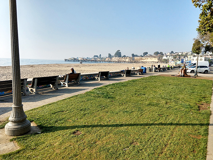 The Esplanade offers the perfect blend of people-watching and ocean-gazing, where benches become front-row seats to nature's greatest show.