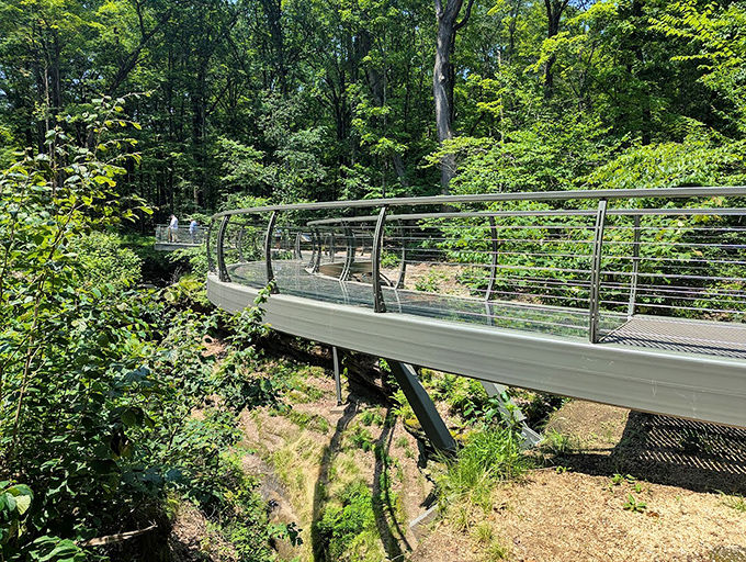 This sleek glass walkway offers thrilling views without requiring you to test your rock-climbing skills or your health insurance deductible.