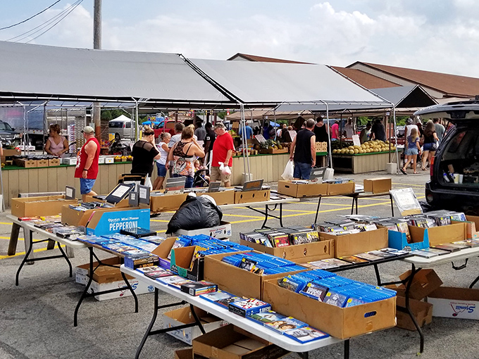 DVDs, CDs, and memories galore! The covered market areas offer protection from Ohio's unpredictable weather while you hunt for entertainment bargains. 