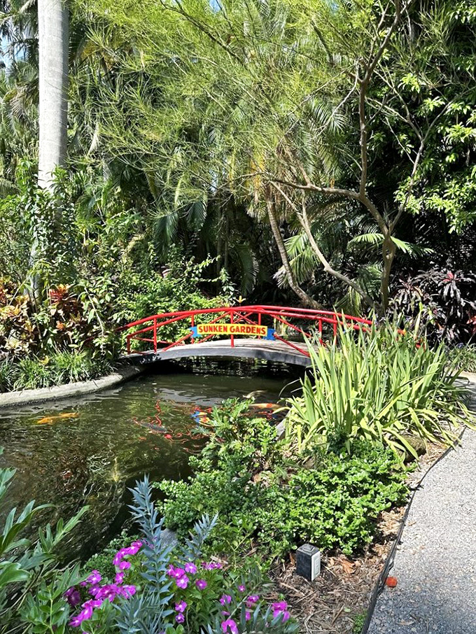 This charming footbridge proves that even koi fish deserve a scenic commute to work.