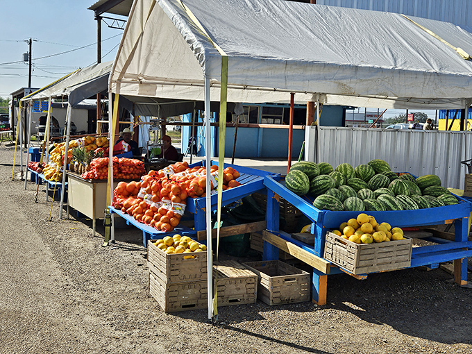 Nature's color palette on full display&mdash;juicy watermelons, bright citrus, and ripe tomatoes that make grocery store produce look like sad imposters.