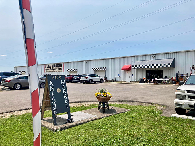 The checkered flag motif isn't just decoration&mdash;it's a warning that once you start browsing, you're in a marathon of discovery that's impossible to rush.