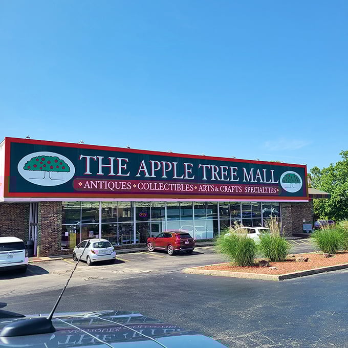 Blue skies frame this unassuming brick building that houses more stories and memories than most Branson theaters could ever tell.