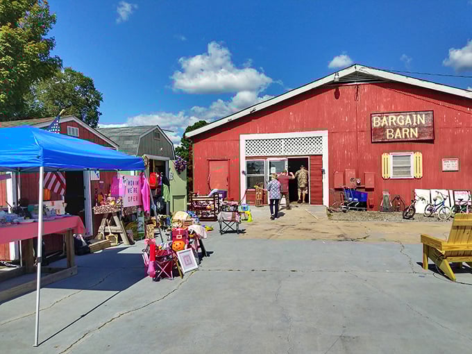 Outdoor displays spill into the sunshine, where weekend warriors and serious collectors alike hunt for their next conversation piece.