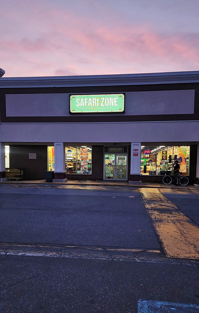 As dusk settles over Smyrna, Safari Zone's glowing green sign becomes a beacon for collectors and gamers seeking their tribe.