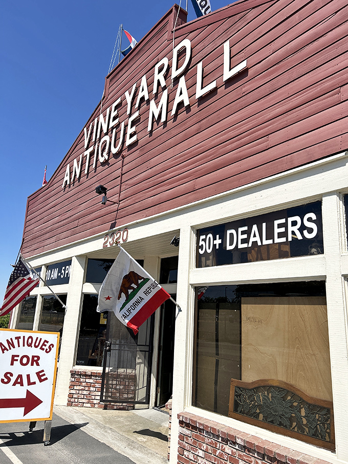 "50+ Dealers" means you'll need comfortable shoes and possibly a sherpa to navigate this vintage wonderland properly.