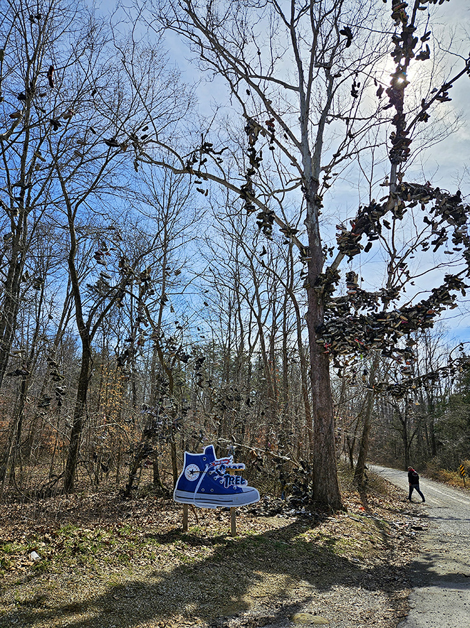 Nature's most peculiar closet display&mdash;sneakers, boots, and sandals hanging like strange fruit from every available branch.