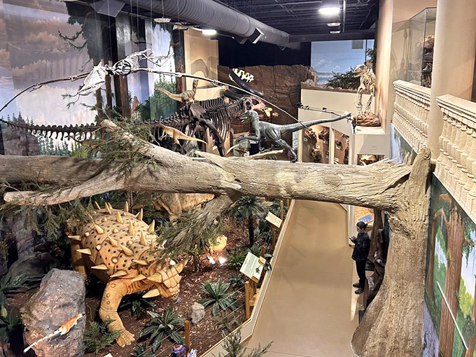 Inside, prehistoric giants tower over visitors in meticulously crafted habitats. That long-necked fellow looks like he's been waiting 65 million years for you to arrive.