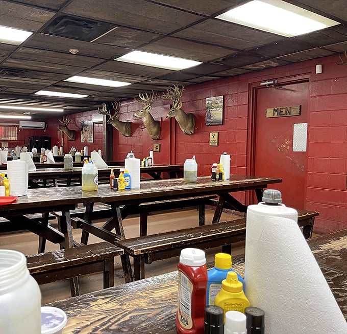 Inside, mounted deer heads preside over communal tables where strangers become friends, united by the universal language of great barbecue.