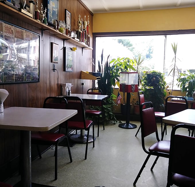 Wood paneling, plants, and trophies create that perfect "neighborhood joint" vibe. It's like dining in a time capsule where the food matters more than the furniture.