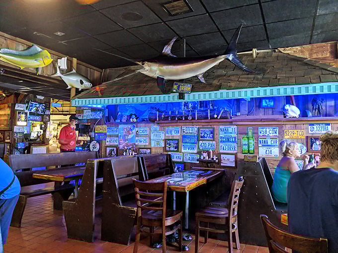 License plates and mounted fish create the perfect seafood joint atmosphere – like swimming into the den of a particularly hospitable sea captain.