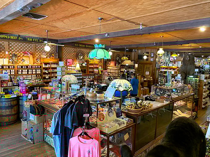 Step into a wonderland where every corner holds a new discovery and childhood memories come flooding back.