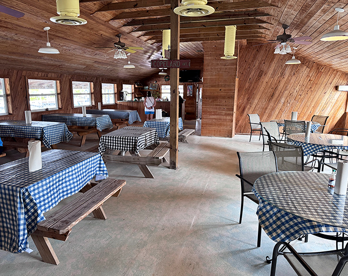 Blue checkered tablecloths and wooden benches create that perfect "we found the real deal" atmosphere. No white tablecloths needed when the seafood is this fresh.