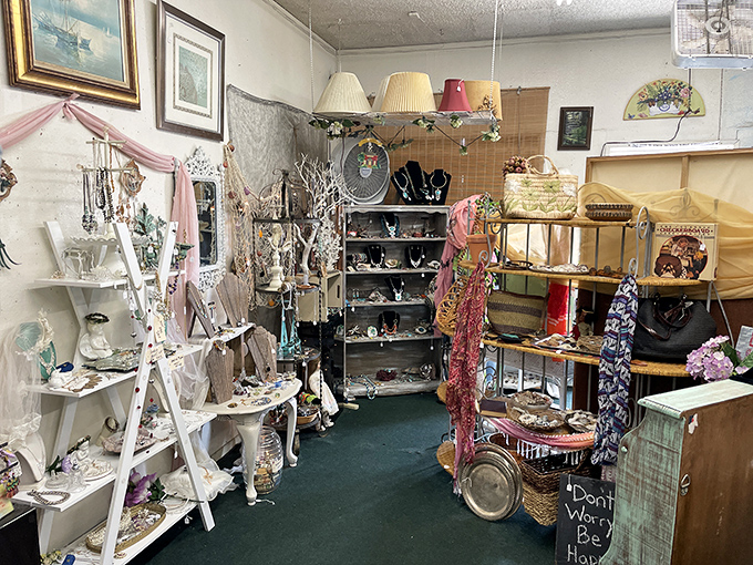 Room after room of carefully curated collections await. Where big-box stores offer chaos, this shop delivers the thrill of discovery with thoughtful organization.