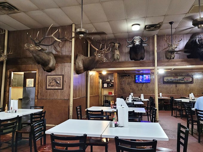 Where taxidermy meets gastronomy! The dining room's wall-mounted wildlife silently observes as diners experience their own version of Texas heaven.