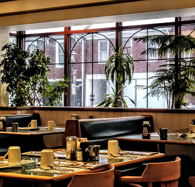 Lush plants frame large windows, creating that perfect diner atmosphere where conversations flow as freely as the coffee. Comfort never needed designer credentials.