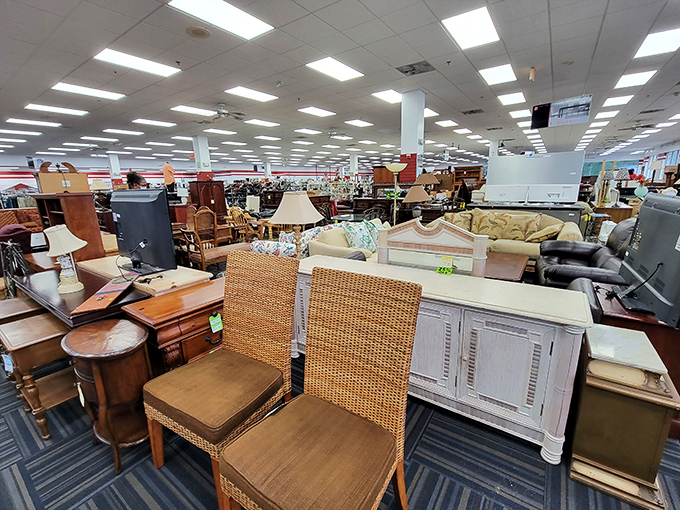 Not your grandmother's cramped thrift shop! This cavernous treasure trove stretches as far as the eye can see, promising adventures in every aisle.