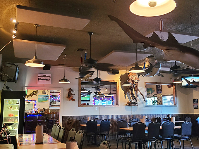 Sharks and fish suspended from the ceiling create a whimsical underwater atmosphere, as if you're dining in Neptune's own living room.