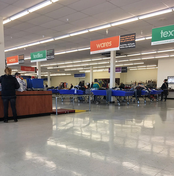 Welcome to the land of possibility. Blue bins stretch toward the horizon, each one a miniature universe of potential discoveries waiting to be unearthed.