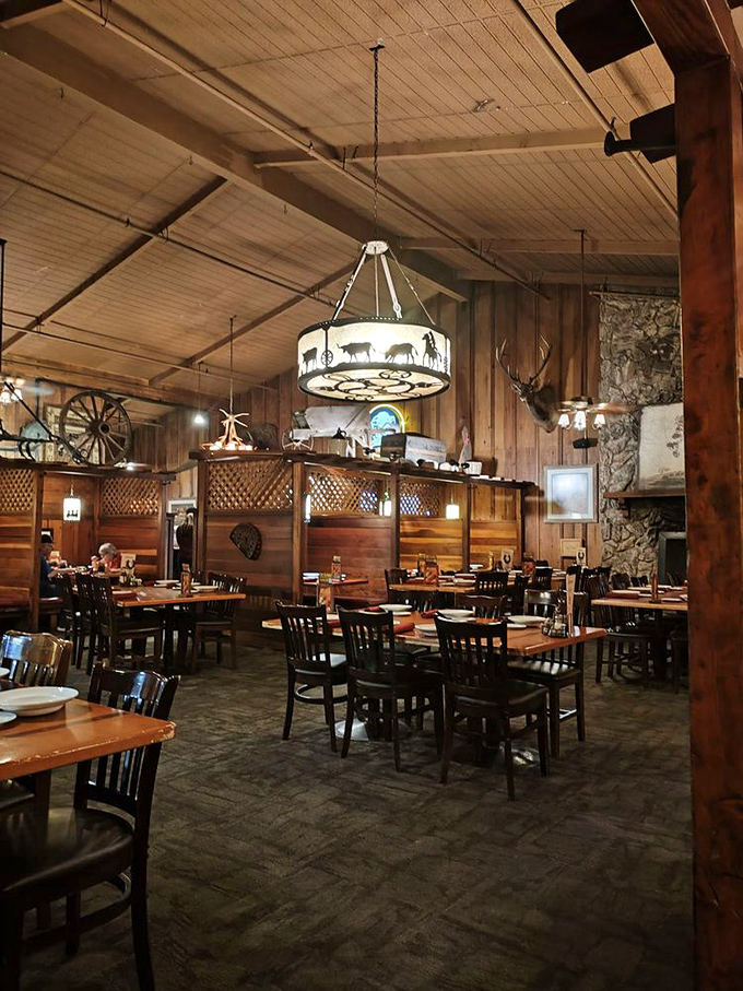 Rustic wooden beams, stone accents, and that unmistakable chandelier create the perfect backdrop for carnivorous adventures.