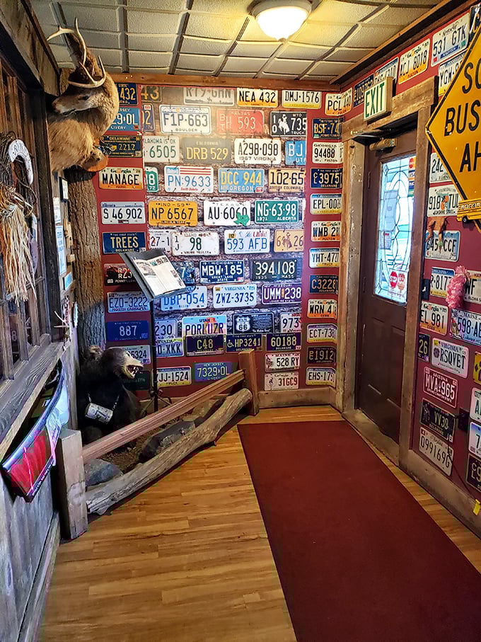 A hallway where every state seems to have sent a representative. This license plate gallery is like a road trip across America without leaving Delaware.