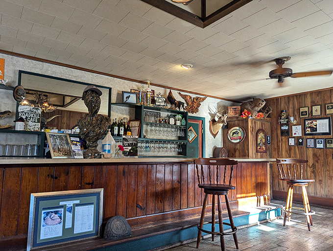 Behind this rustic bar, culinary magic happens. The mounted wildlife seems to nod in approval at your menu choices.