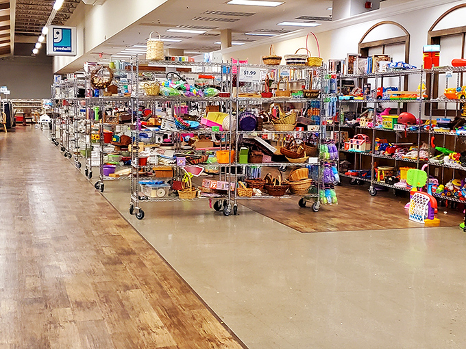 Aisle after aisle of meticulously organized chaos, where every shelf tells a different story and every cart holds potential discoveries.