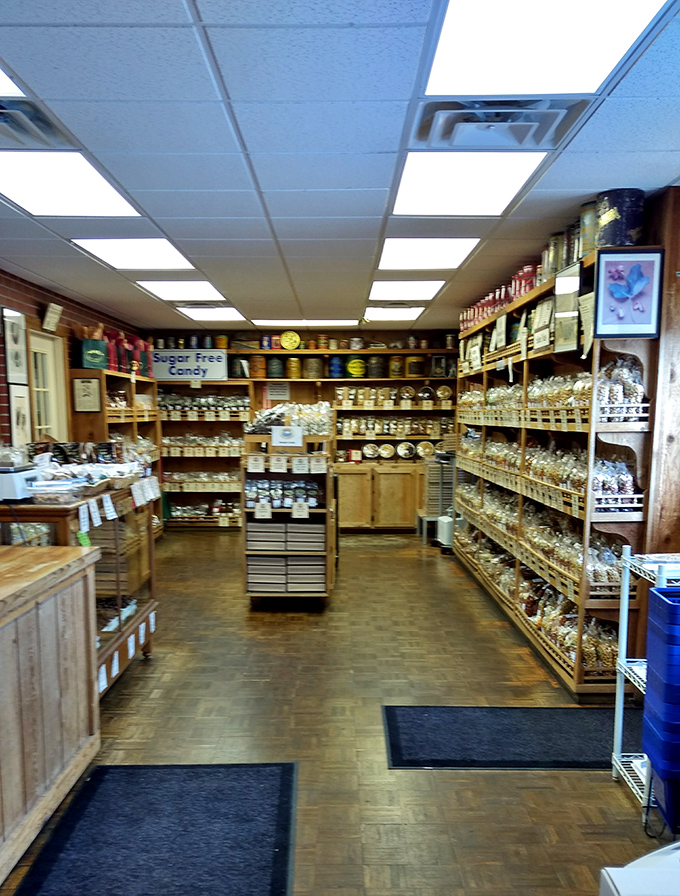 Walking into Krema feels like stepping into a time capsule of pure food craftsmanship. Those wooden shelves hold generations of nutty wisdom.