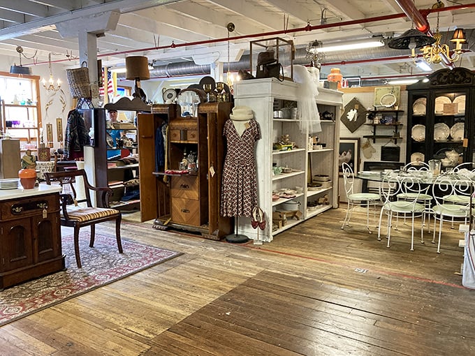 Wooden floors that have witnessed decades of footsteps now guide treasure hunters through carefully curated collections of furniture, vintage clothing, and memories waiting to be adopted.