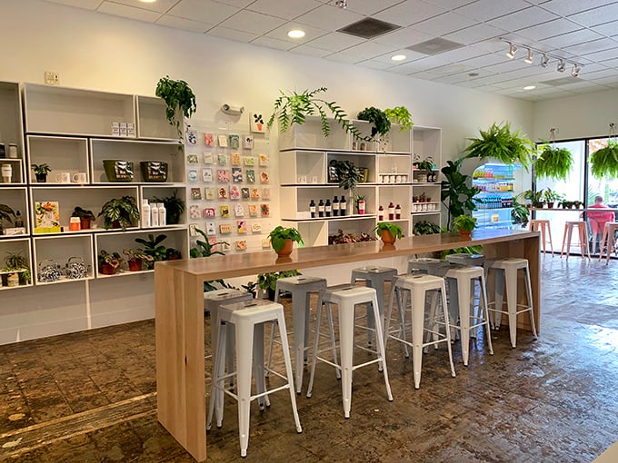 Indoor jungle meets Scandinavian simplicity &ndash; hanging plants soften the clean lines while white metal stools invite you to perch and ponder life's great questions over espresso.