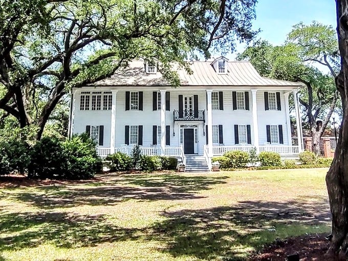 The Kaminski House Museum gleams white against verdant oaks, a Southern belle of architecture that's seen more history than your grandmother's recipe box.