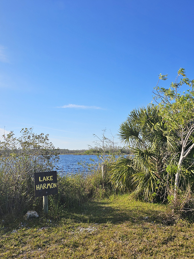 Lake Harmon's pristine waters offer a front-row seat to Florida's untamed beauty. The kind of place that makes you forget passwords and remember dreams.