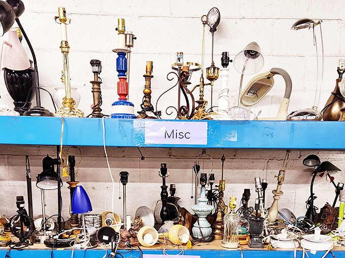 Vintage lamps stand at attention like a quirky welcoming committee. One person's "miscellaneous" is another's living room conversation starter!