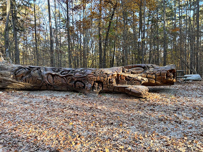 Mother Nature meets artistic vision in this fallen giant. Who needs museum admission when the forest offers sculptural masterpieces along your hiking route?
