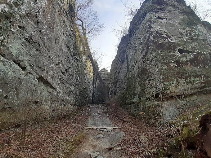 Nature's own hallway of stone, carved by forces that had millions of years to perfect their craft. Talk about patience paying off!
