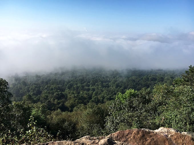 Morning fog plays hide-and-seek with the forest, creating nature's own magic show below.