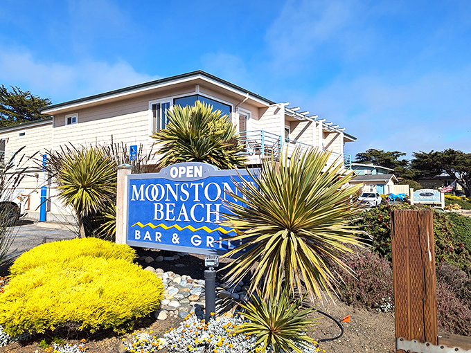 At Moonstone Beach Bar & Grill, even the yucca plants dress up for dinner. Ocean views come complimentary with every meal.