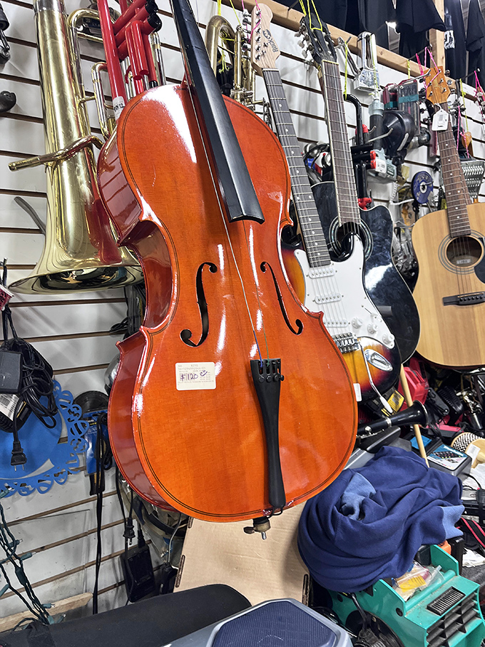 A symphony of second chances! From cellos to saxophones, these pre-loved instruments are ready for their encore performance in someone's musical journey.