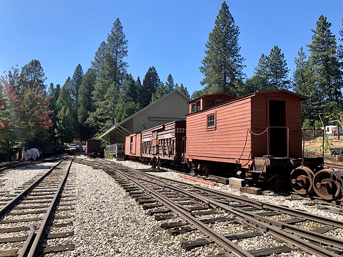 All aboard memory lane! These vintage rail cars stand as iron witnesses to the days when gold fever and steam power shaped Northern California.