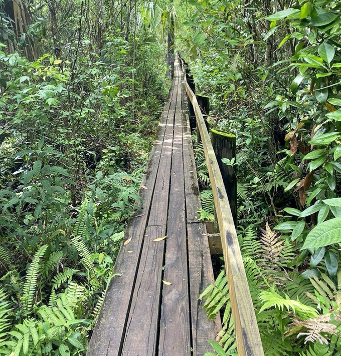 This weathered boardwalk has seen more stories unfold than your favorite soap opera.