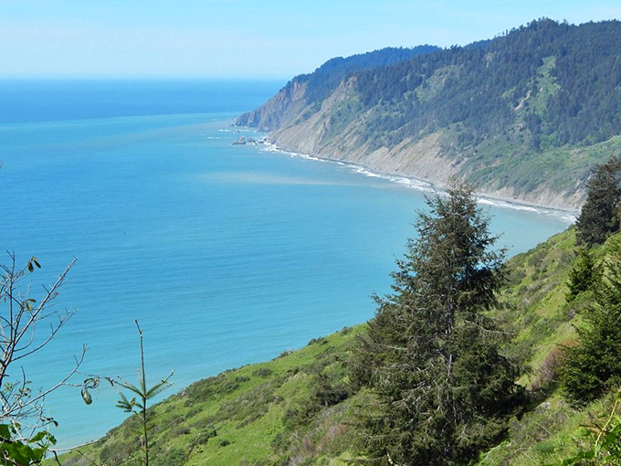 The Lost Coast earns its name with these dramatic cliffs plunging into azure waters. Like California before Hollywood discovered it.