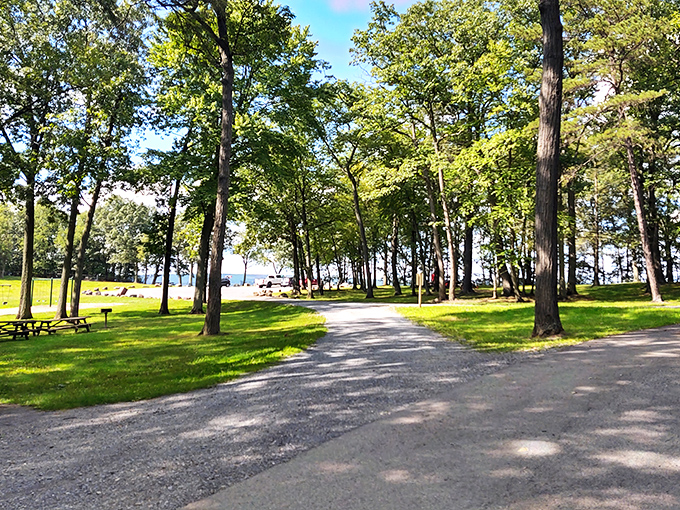 Dappled sunlight plays hide-and-seek through towering trees, creating nature's air conditioning on even the hottest Pennsylvania summer days.