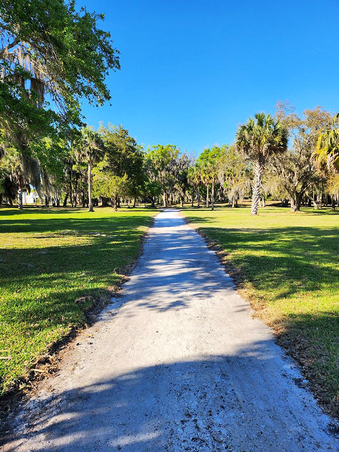 These shaded paths have been hosting nature's daily commute for centuries &ndash; no traffic jams, just pure serenity.