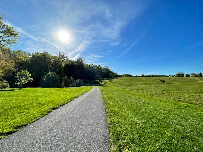 Blue skies, green meadows, and not a conference call in sight. Bellevue's paved trails offer smooth sailing for walkers, joggers, and those fleeing desk-job posture.